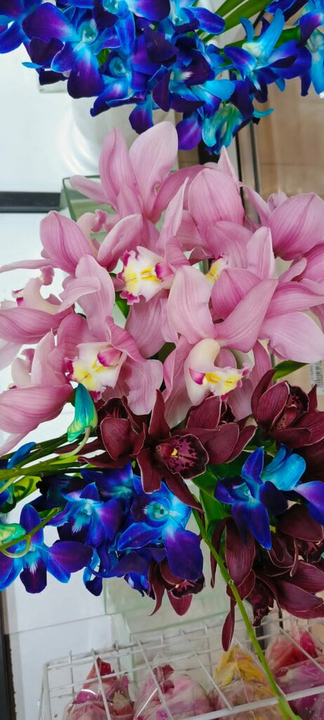 Çiçekçiler Остров Цветов Бали, Moskova, foto