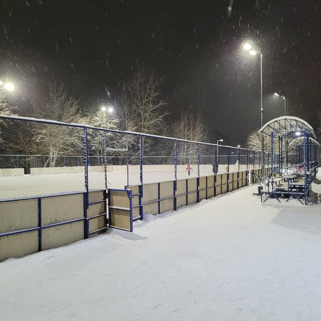 Buz pateni pistleri Каток с натуральным льдом, Zelenograd, foto