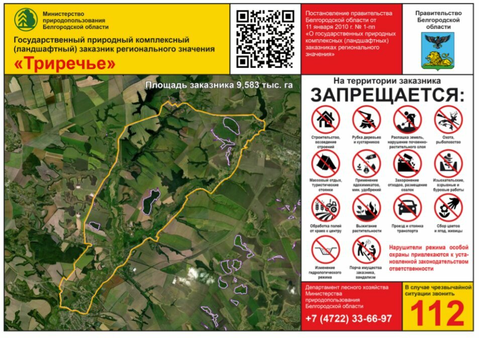 Orman урочище Дубрава, Belgorodskaya oblastı, foto