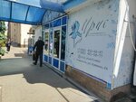 Tsvetochny Rynok (Pushkina Street No:8А), çiçek teslimatı  Stavropol'dan
