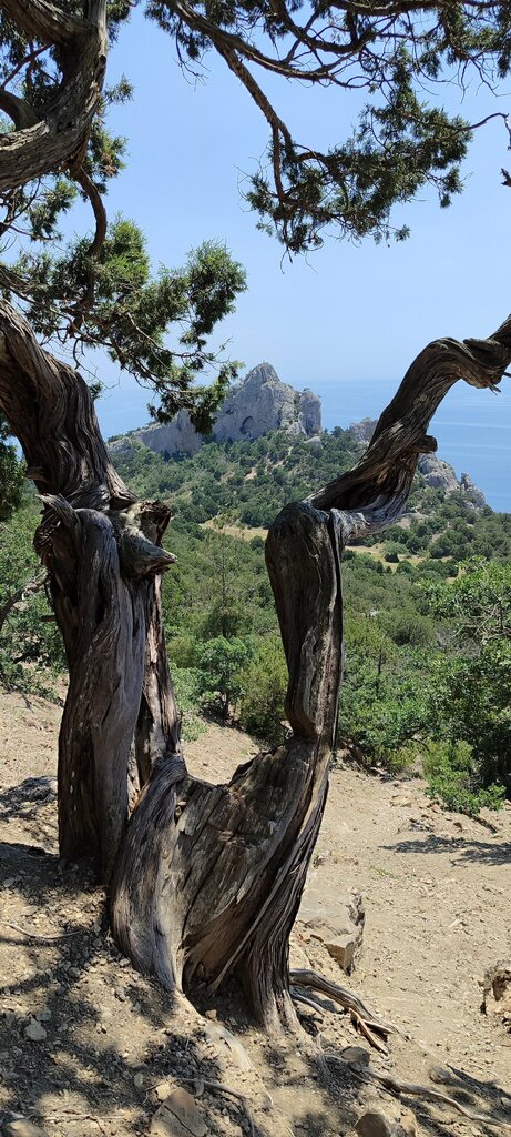 Dağ geçidi Pass, Kırım Cumhuriyeti, foto