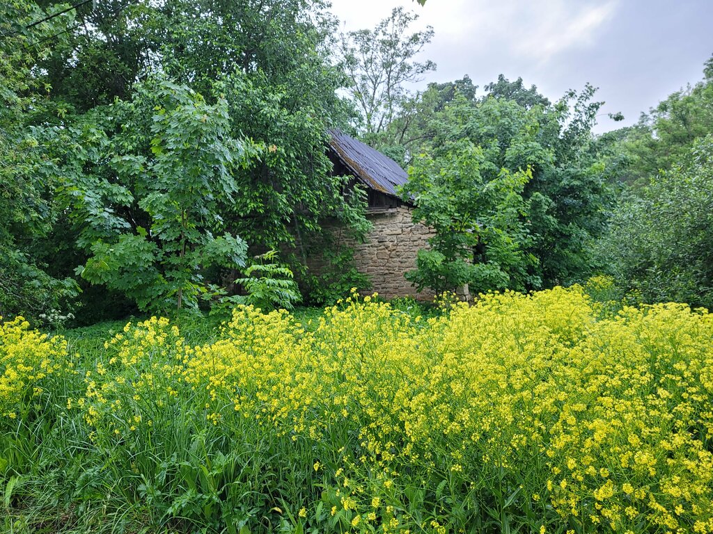 Kültür ve eğlence parkları парк усадьбы Р.И. Воронцова, Saint‑Petersburg ve Leningradskaya oblastı, foto