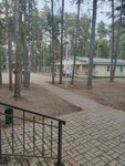 Children's health camp. G. S. Titov (Yaroslavl Region, Myshkinskiy rayon), yaz kampı  Yaroslavskaya oblastından