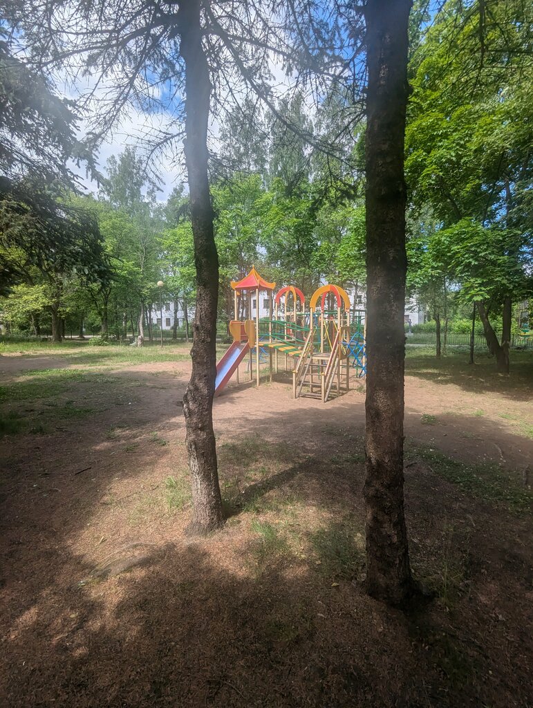 Oyun alanı Playground, Vesegonsk, foto