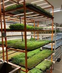Green Altay (Entuziastov Street No:38), seracılık  Barnaul'dan