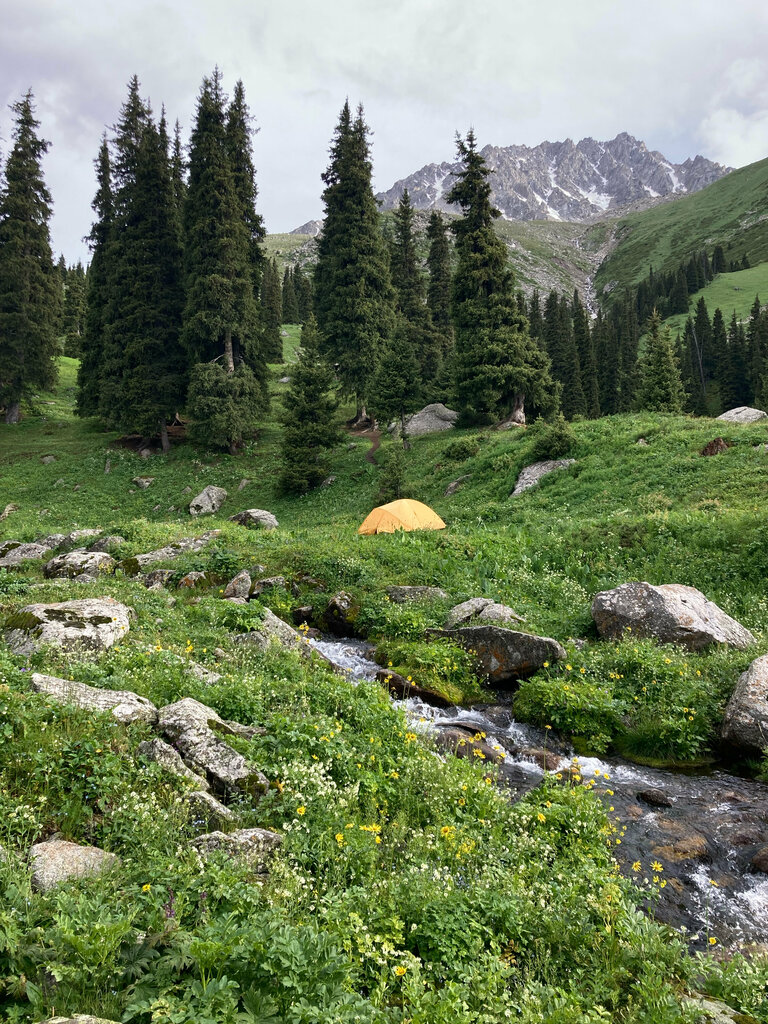 Kamp alanları Klearing Terra, Almatı eyaleti, foto