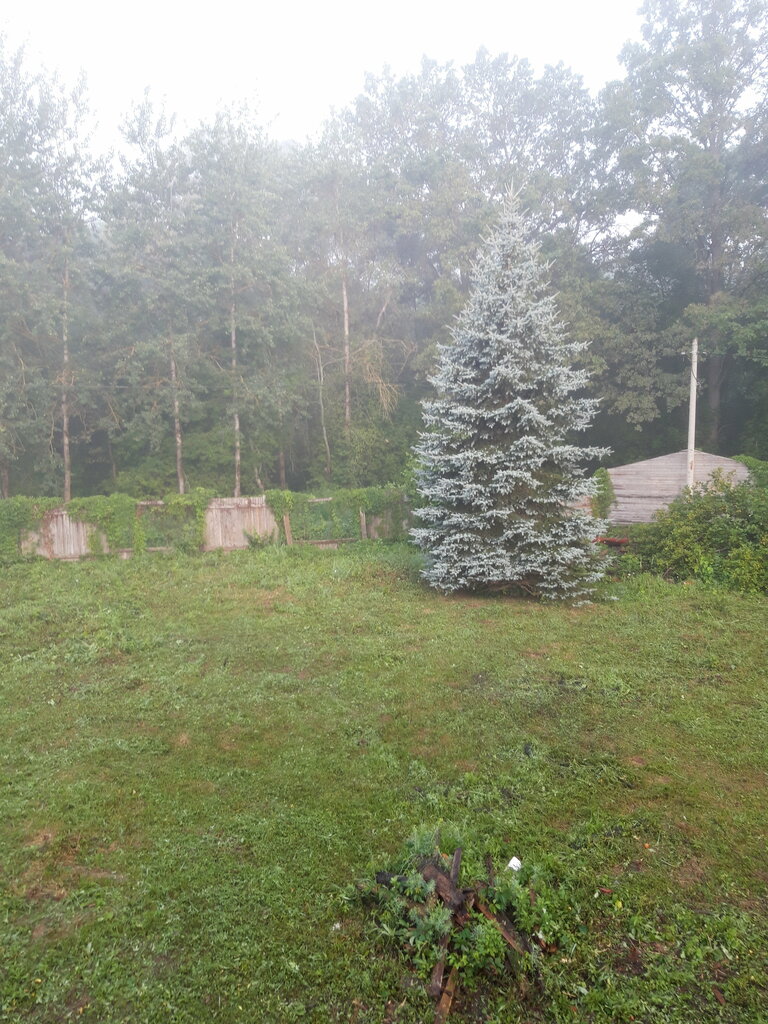 i̇skele Jetty , Moskova ve Moskovskaya oblastı, foto