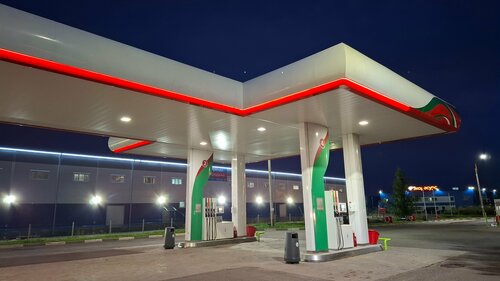 Benzin istasyonu Tatneft', Krasnoye Selo, foto