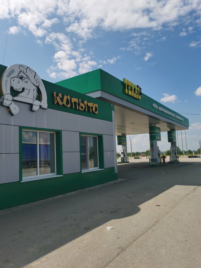 Kantin, yemekhane Ленивое копыто, Krasnoyarski krayı, foto