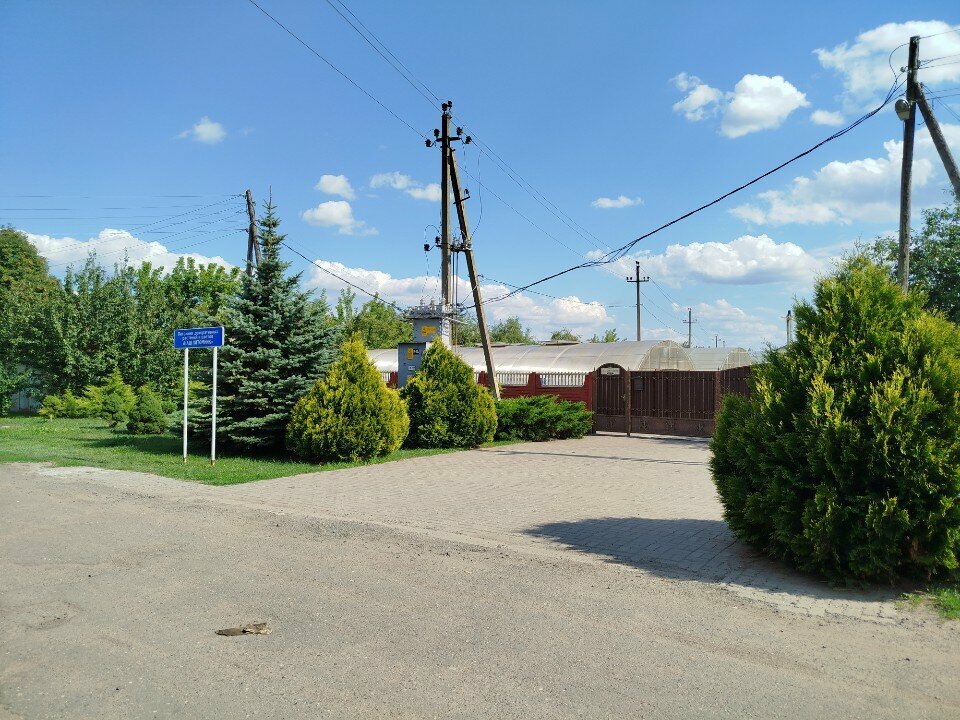 Sera ve bahçe ürünleri Savchuk I. I. Ip, Gomel, foto
