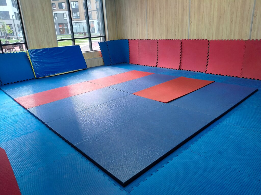 Spor kulüpleri Мастерская самбо, Moskova ve Moskovskaya oblastı, foto