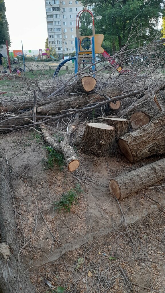 Konut servisleri kuruluşları Blagoustroystvo, MUP, Kamyşin, foto