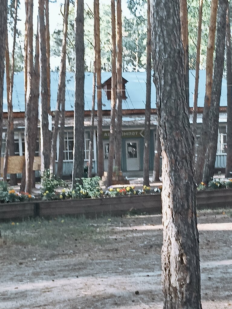 Kantin, yemekhane Туристическая деревня Артеково, столовая, Ulyanovskaya oblastı, foto