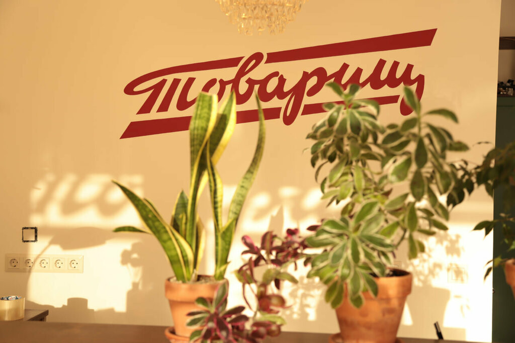 Berberler Tovarishch, Stavropol, foto