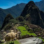 Mi Guia Machupicchu Cusco (Provincia del Cusco, Cusco), seyahat acenteleri  Cusco'dan