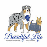 Beautiful Life (Ozyornaya Street No:11), evcil hayvan yetiştiricileri  Moskova'dan