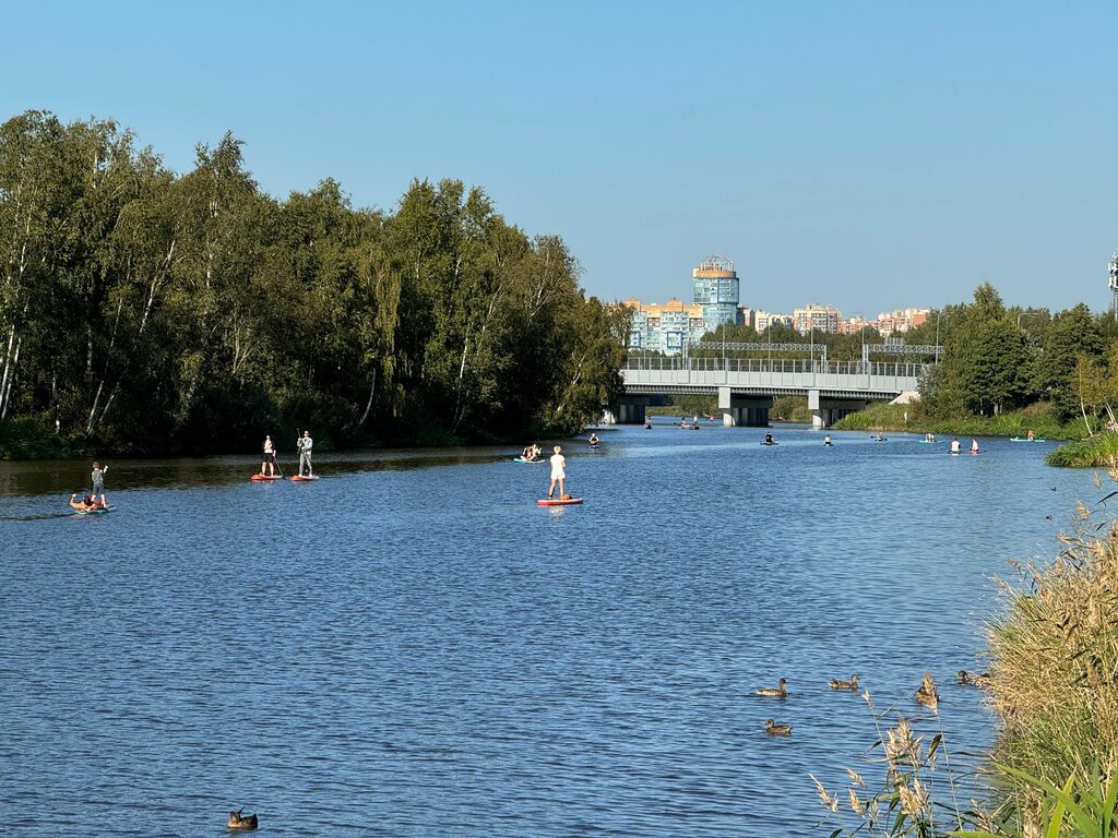 Turistik yerler Пешеходный экологический маршрут на набережной реки Глухарки, Saint‑Petersburg, foto