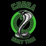 Cobra Muay Thai Team (Voroshilova Street No:2Ак1), spor kulüpleri  Tolyatti'den (Togliatti'den)