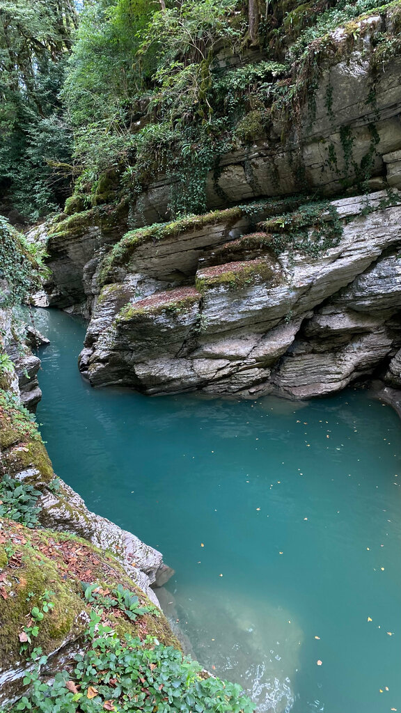 Doğa Psaho River Canyon, Soçi, foto