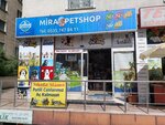 Mira petshop (Adnan Kahveci Mah., Konak Cad., Beylikdüzü, İstanbul), petshop  İstanbul'dan