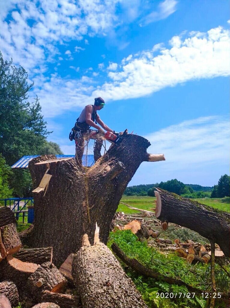 Şehir planlama Служба спиливания деревьев, Klintsy, foto