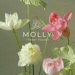 Molly Flowers (Temirjol kóshesi No:127), çiçekçiler  Aksay'dan