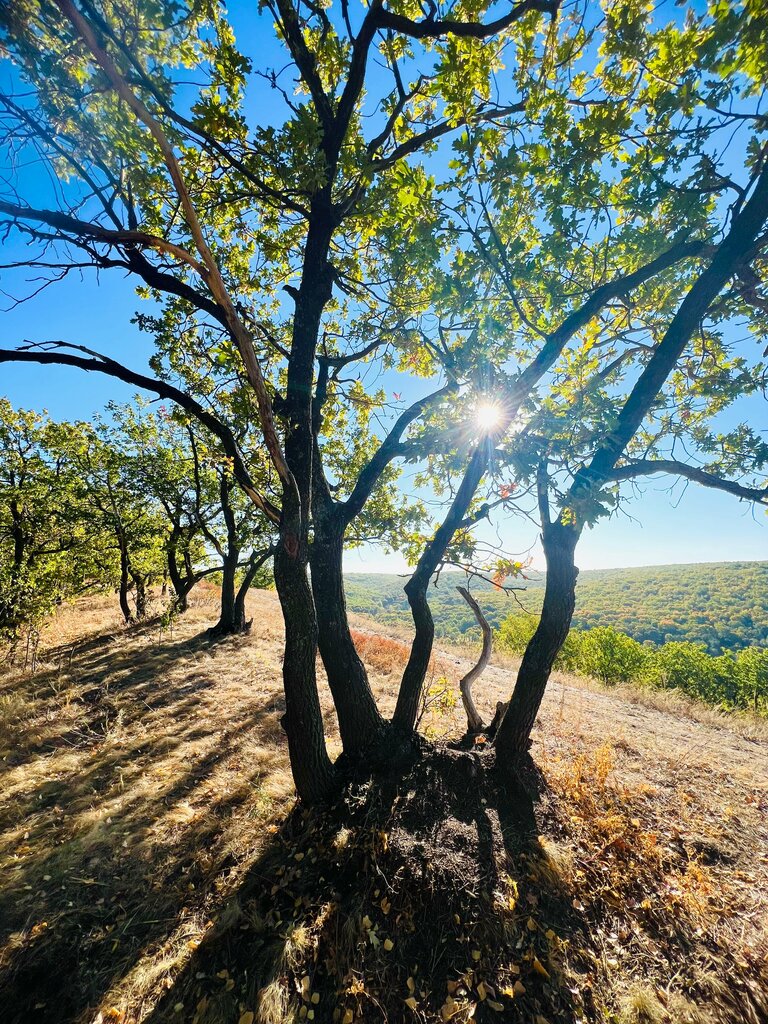 Dağ zirvesi Савельевские горы, Saratov, foto