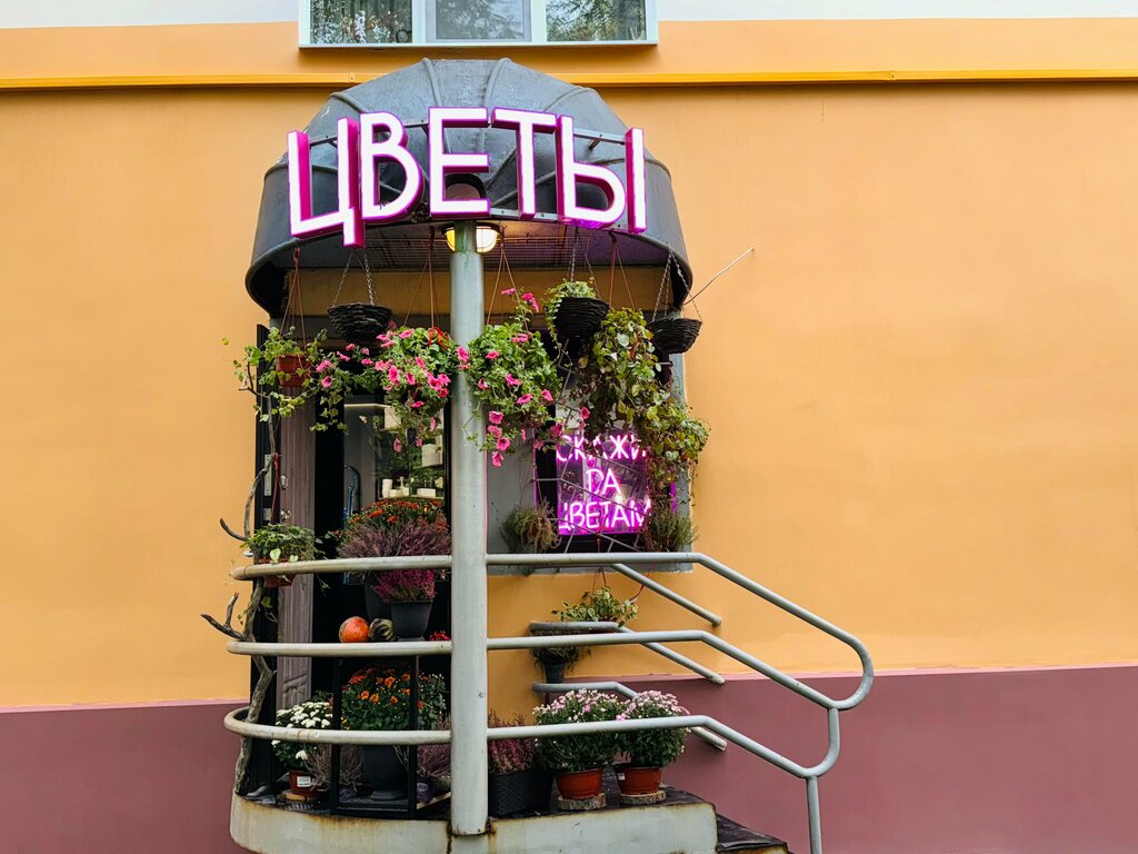 Çiçekçiler Galereya51, Murmansk, foto