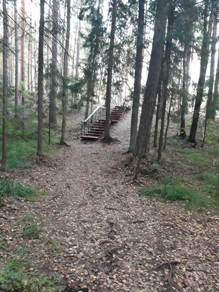 Pınar, çay Spring, stream, Riazanskaya oblastı, foto
