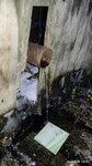 Spring, stream (Perm, kollektivny sad № 12), pınar, çay  Perm'den