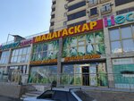 Madagascar (Nursultan Nazarbaev dańǵyly No:16), çocuk mağazaları  Çimkent'ten (Şımkent'ten)