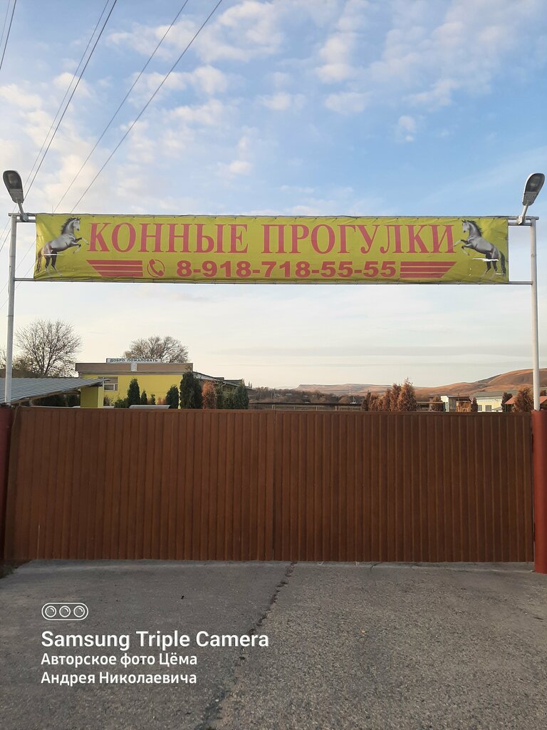 At ve binicilik kulüpleri Конюшня Хасана Салпагарова, Ust‑Dgeguta, foto