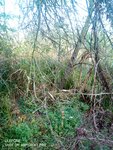 Spring, stream (Rostov Region, Azov, Azovskaya ulitsa), pınar, çay  Azov'dan