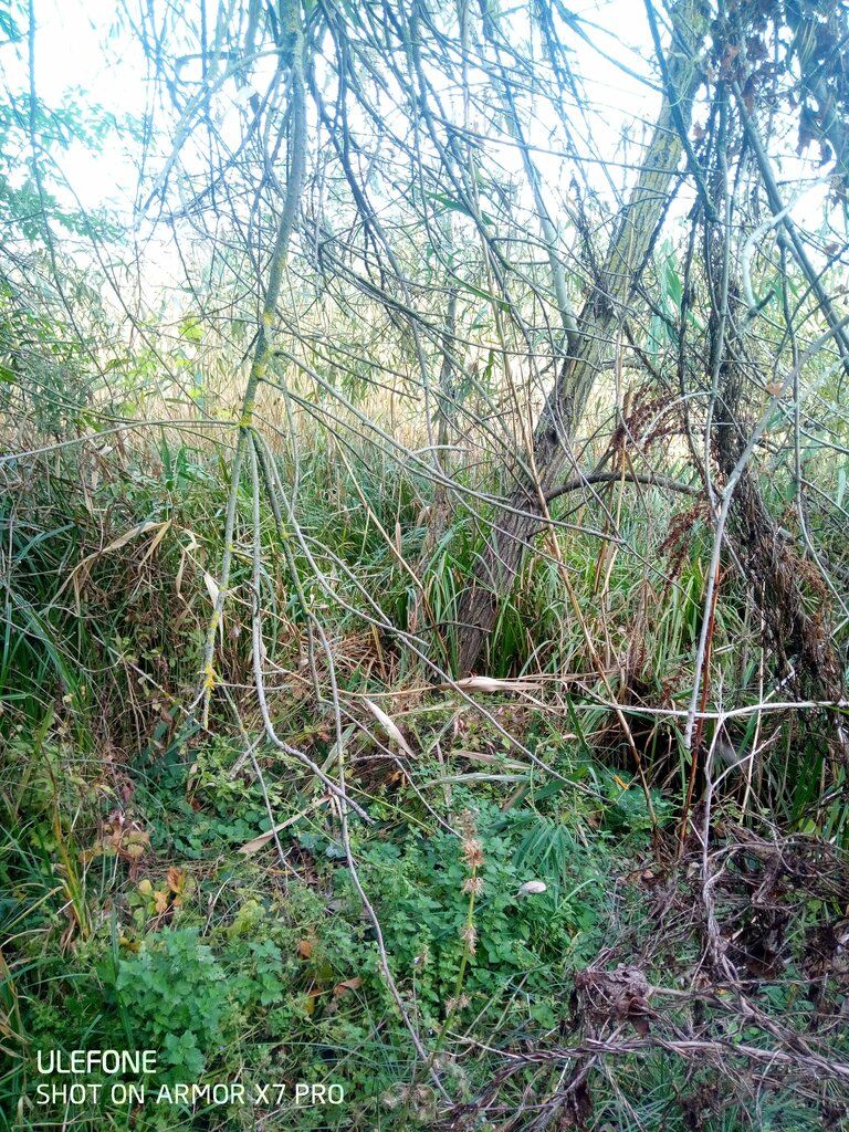 Pınar, çay Spring, stream, Azov, foto