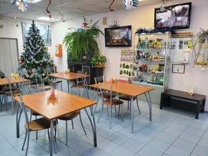 Kafe (Kabitsynskaya Street No:18, Obninsk), kafe  Obninsk'ten