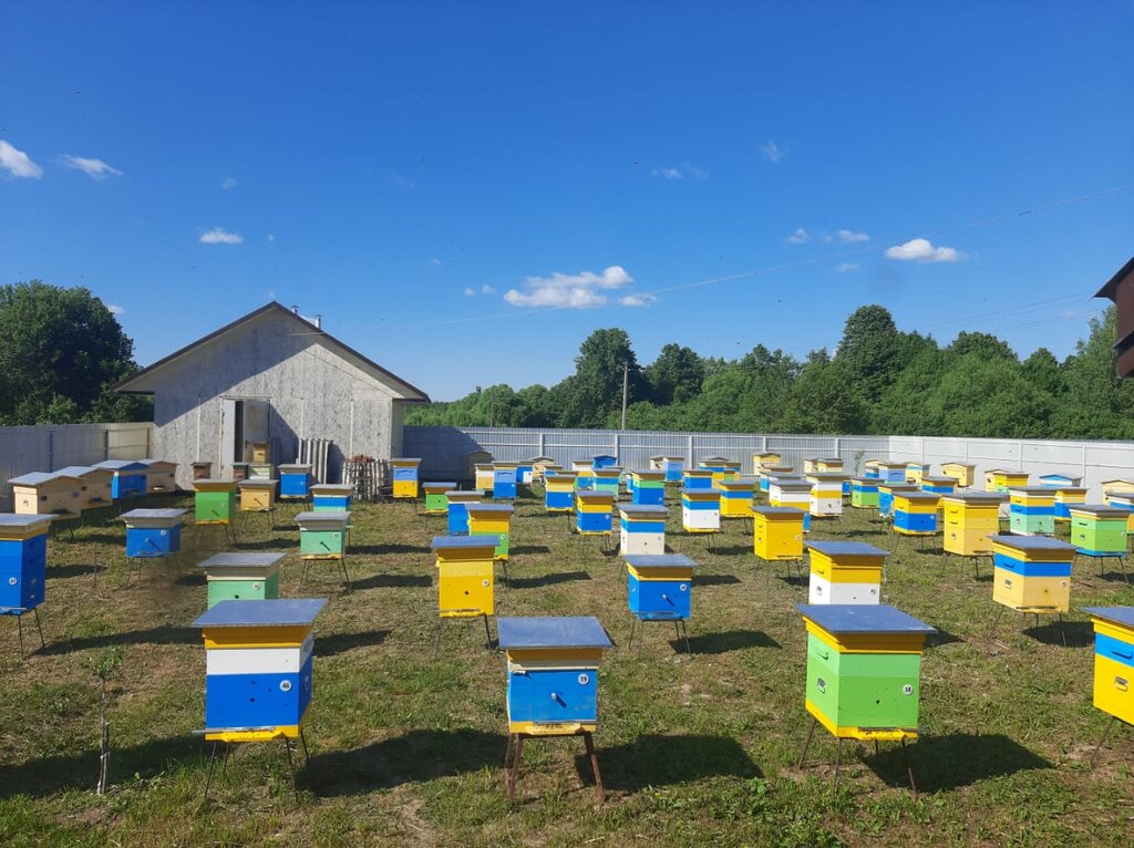 Bal ve arıcılık firmaları Paseka Barskaya gora, İvanovskaya oblastı, foto