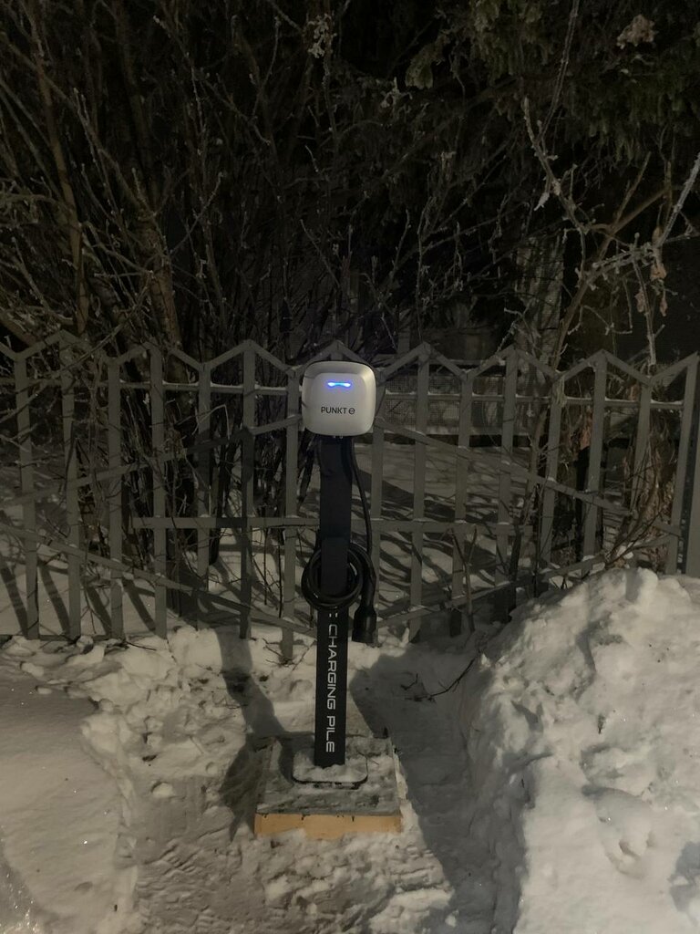 Elektrikli oto şarj istasyonları Punkt E, Novosibirskaya oblastı, foto