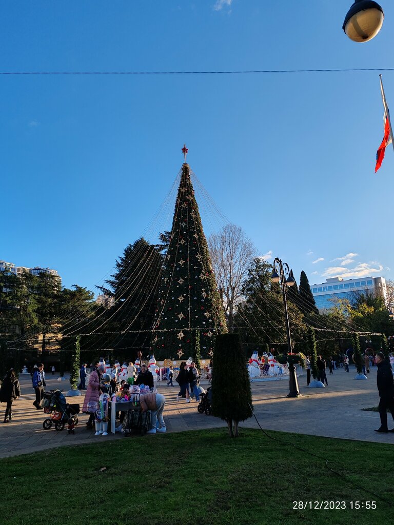 Unutulmaz olayların yeri Christmas tree, Soçi, foto