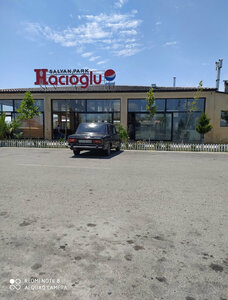 Hacıoğlu (Salyan rayonu), fast food  Salyan Rayonu'ndan