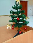 Gimnaziya № 21 (Frýnze kóshesi No:16, Rudny), müzik okulları ve konservatuarlar  Rudny'den