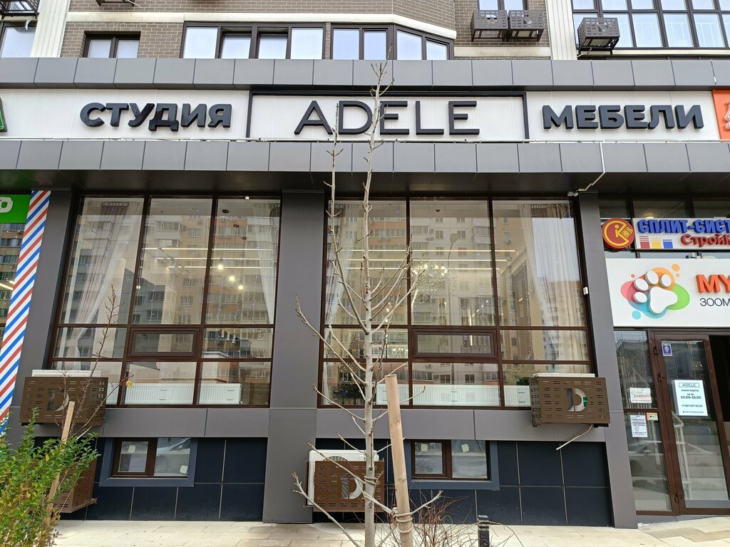 Özel mobilya yapımı Adele, Novorossiysk, foto