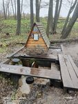 Источник св. апостола Андрея Первозванного (Tambov Region, Sosnovskiy munitsipalny okrug, Otyasskiy selsovet), pınar, çay  Tambovskaya oblastından