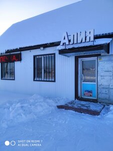 Алия (prospekt Salavata Yulayeva No:52Б, selo Akyar), kafe  Başkurdistan'dan