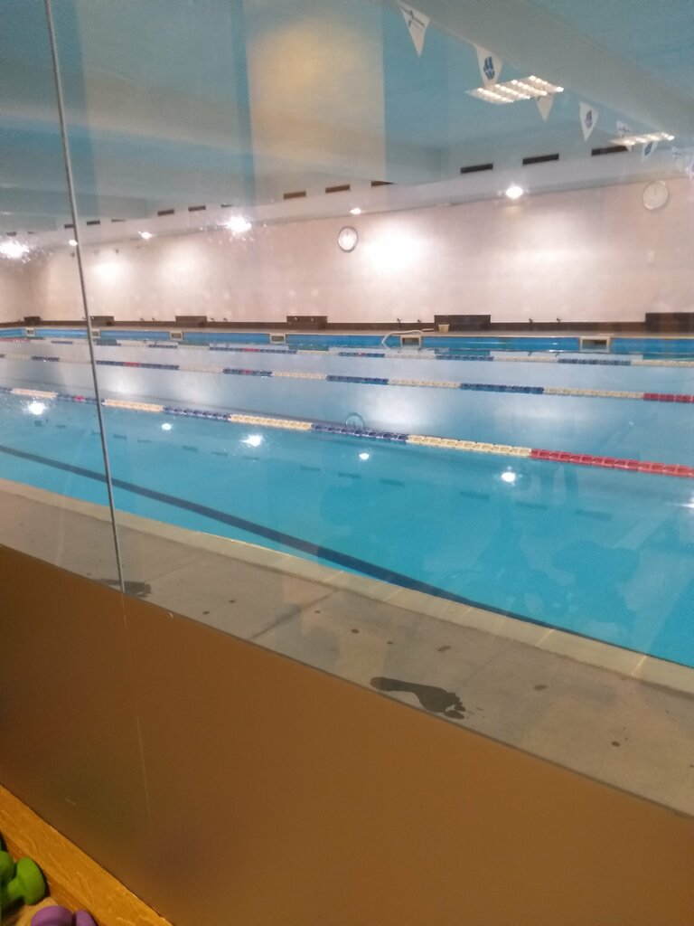 Yüzme havuzları Бассейн, Sakhalinsk, foto