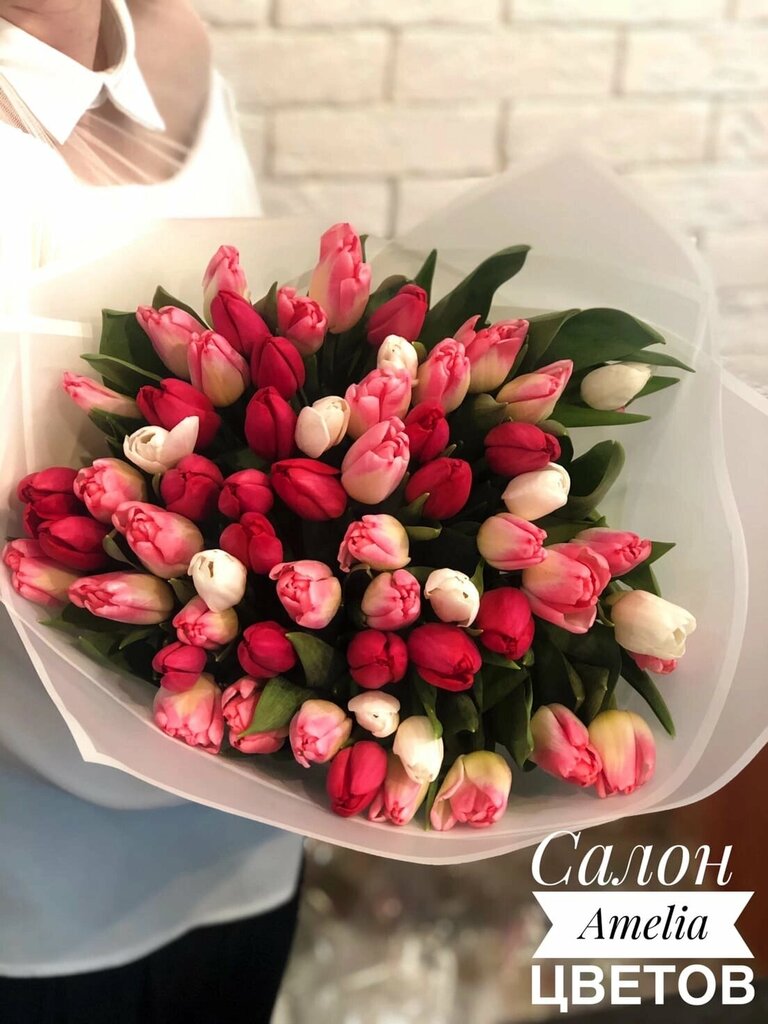 Çiçekçiler Amelia, Gubaha, foto