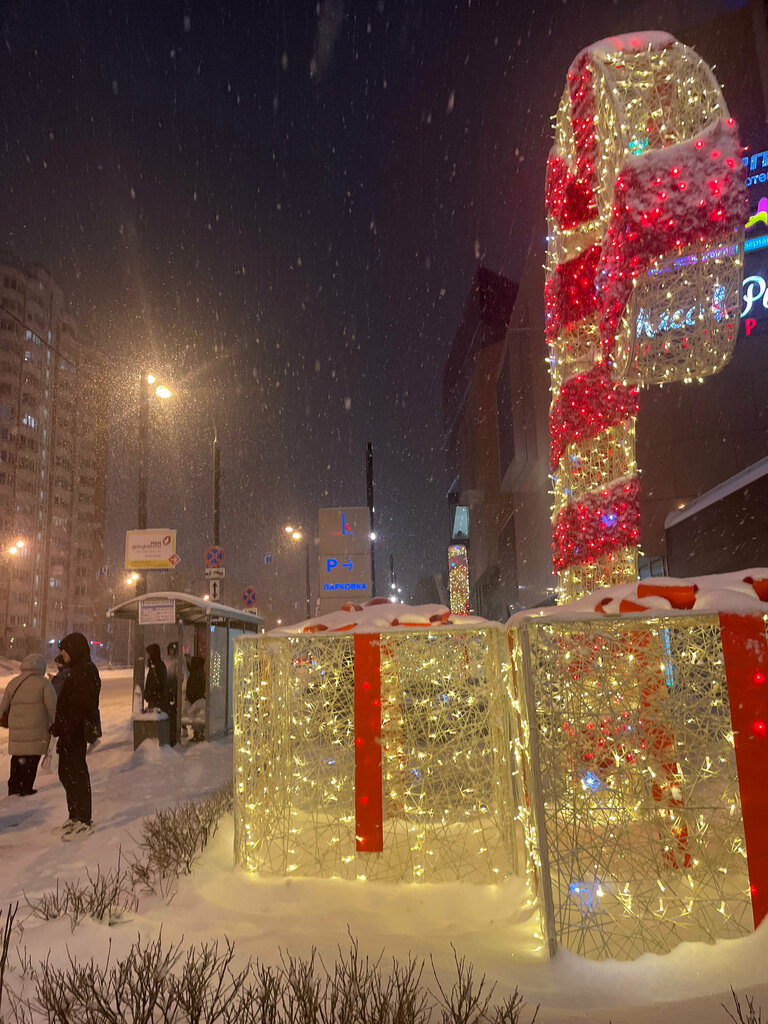 Toplu taşıma durağı Marshal Sergeev Street, Moskova, foto