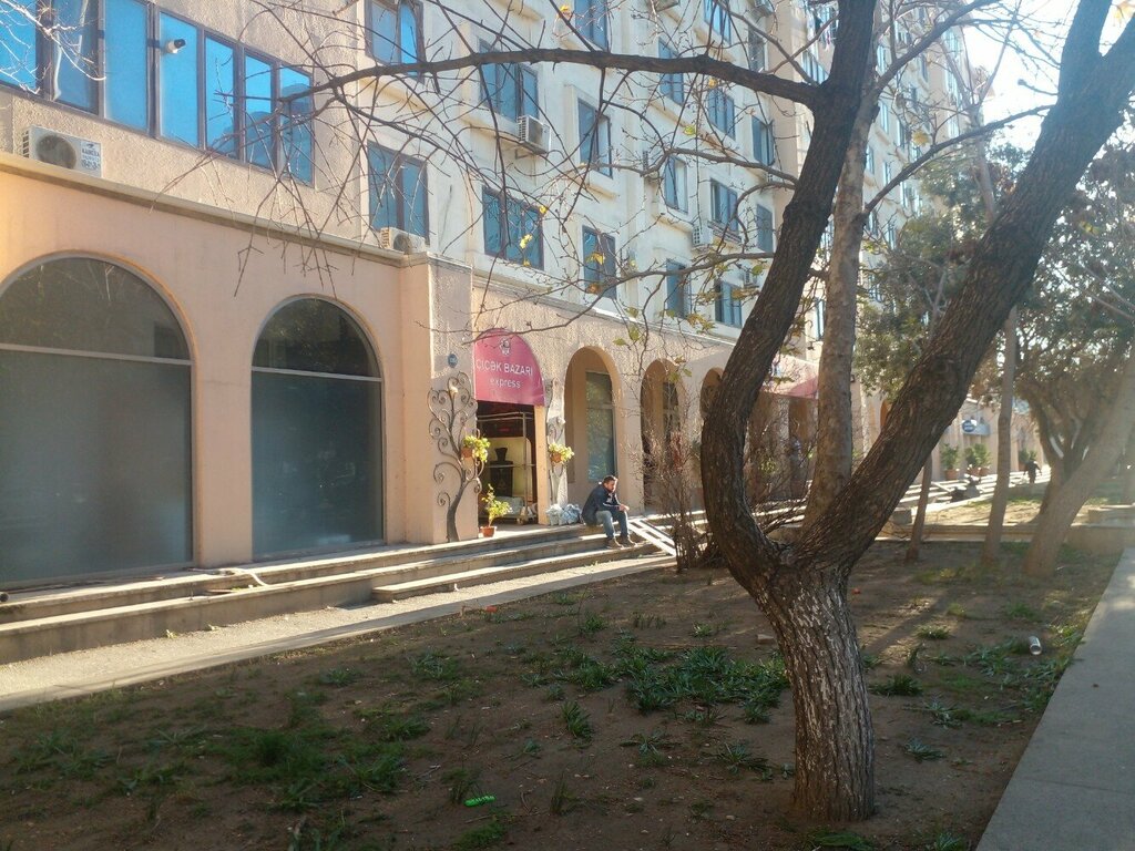 Çiçekçiler Çiçək Bazari, Bakü, foto