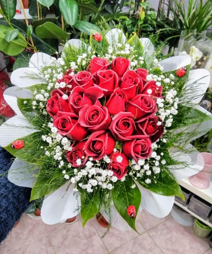 Çiçekçiler Cix Uluslarası Çiçekçilik, Kırıkkale, foto