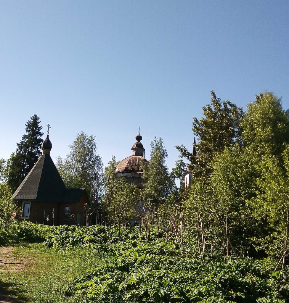 Ortodoks kiliseleri Церковь Покрова Пресвятой Богородицы, Novgorodskaya oblastı, foto