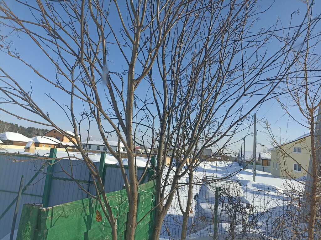 Bahçecilik dernekleri ve kuruluşları СНТ Берёзка, Tümen (Tiumenskaya) oblastı, foto